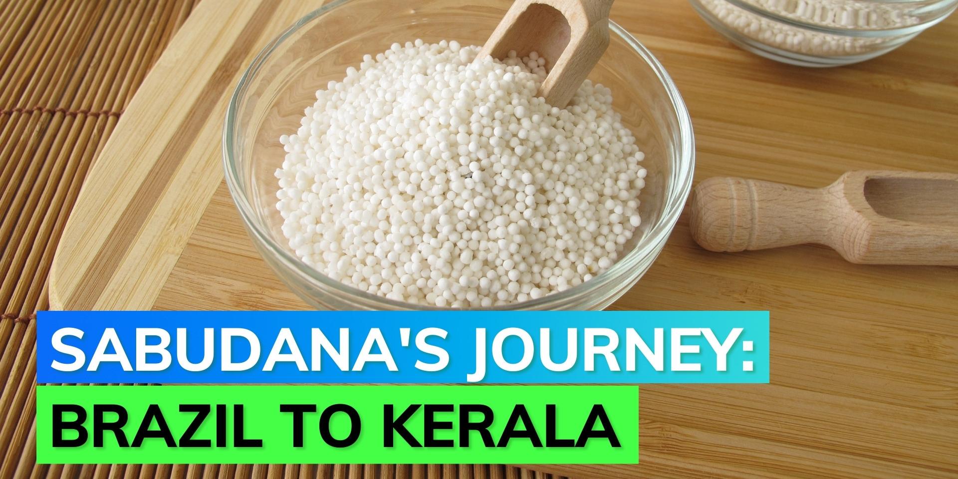 Know how sabudana or tapioca was introduced by a Kerala ruler in the ...