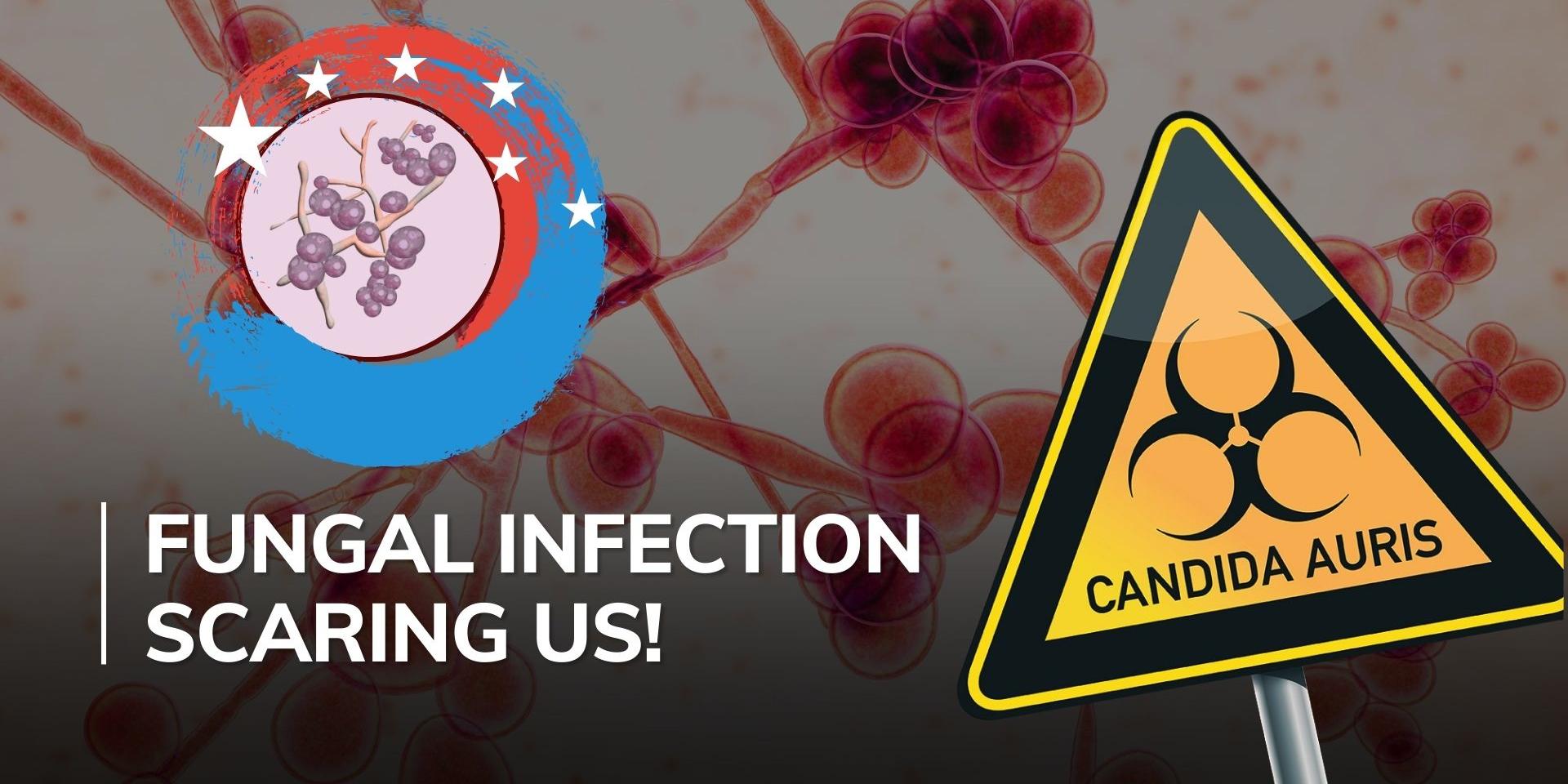 ‘Candida Auris’ infection poses serious healthcare threat in US; all ...