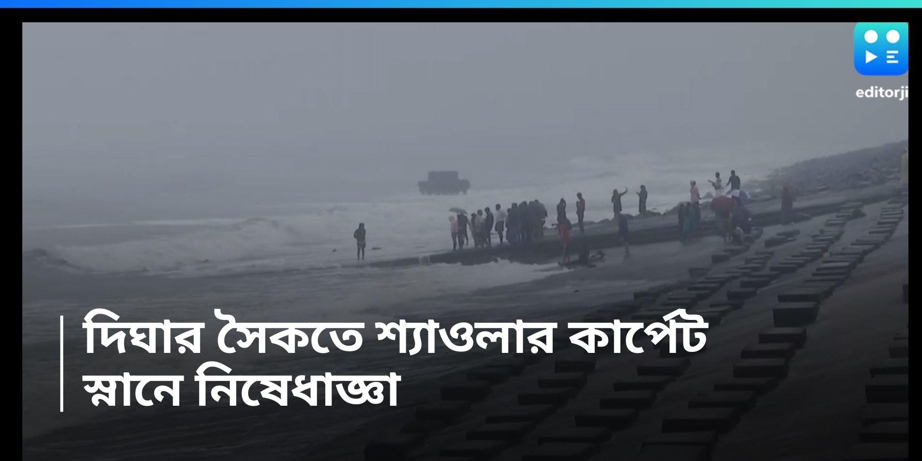 Carpet of moss on the beach of Digha, Bathing in the sea is prohibited ...