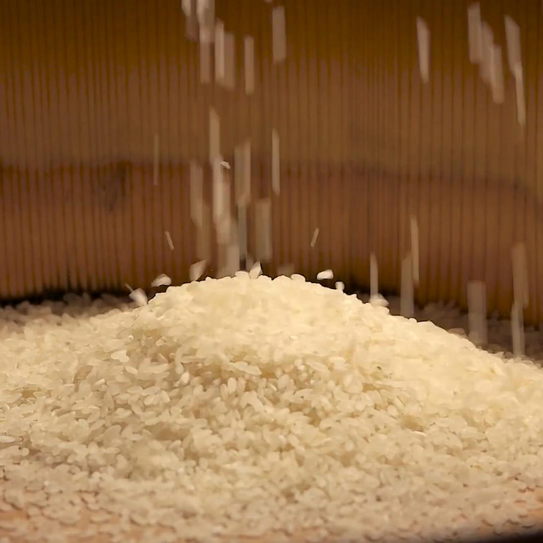 Madhya Pradesh seeks GI tag for its Basmati rice | Editorji