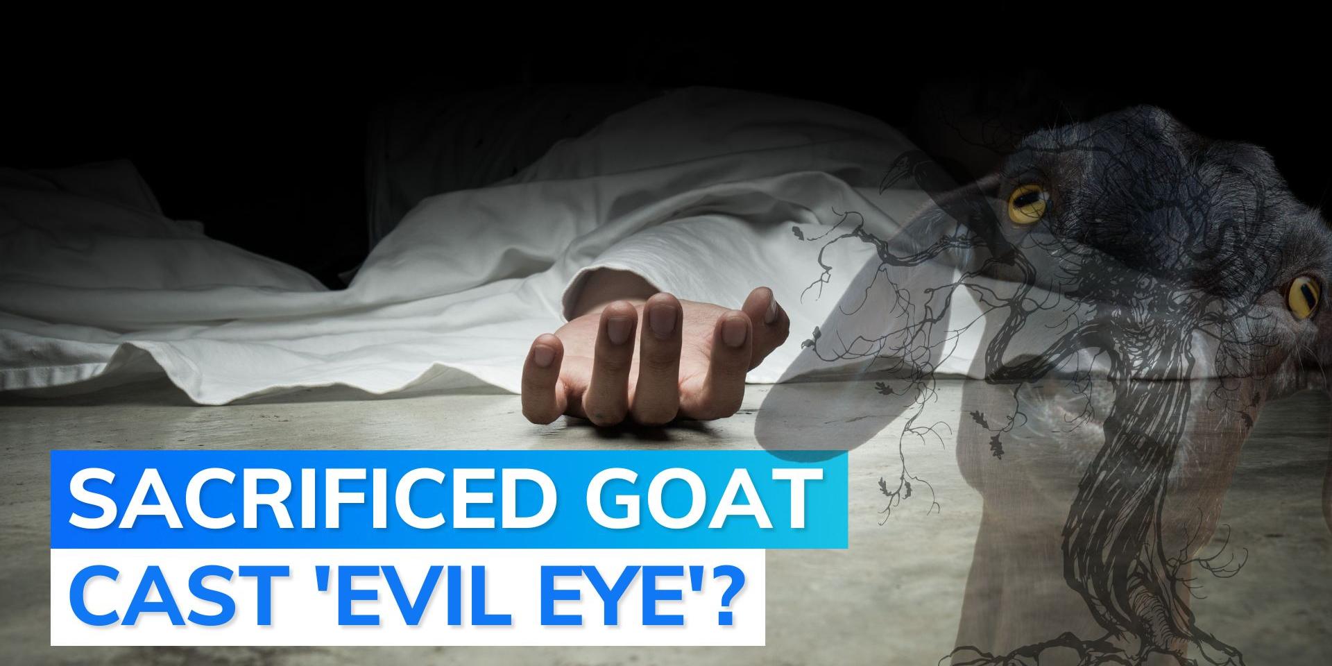 Man sacrifices goat, what happened next is not short of bizarre | Editorji