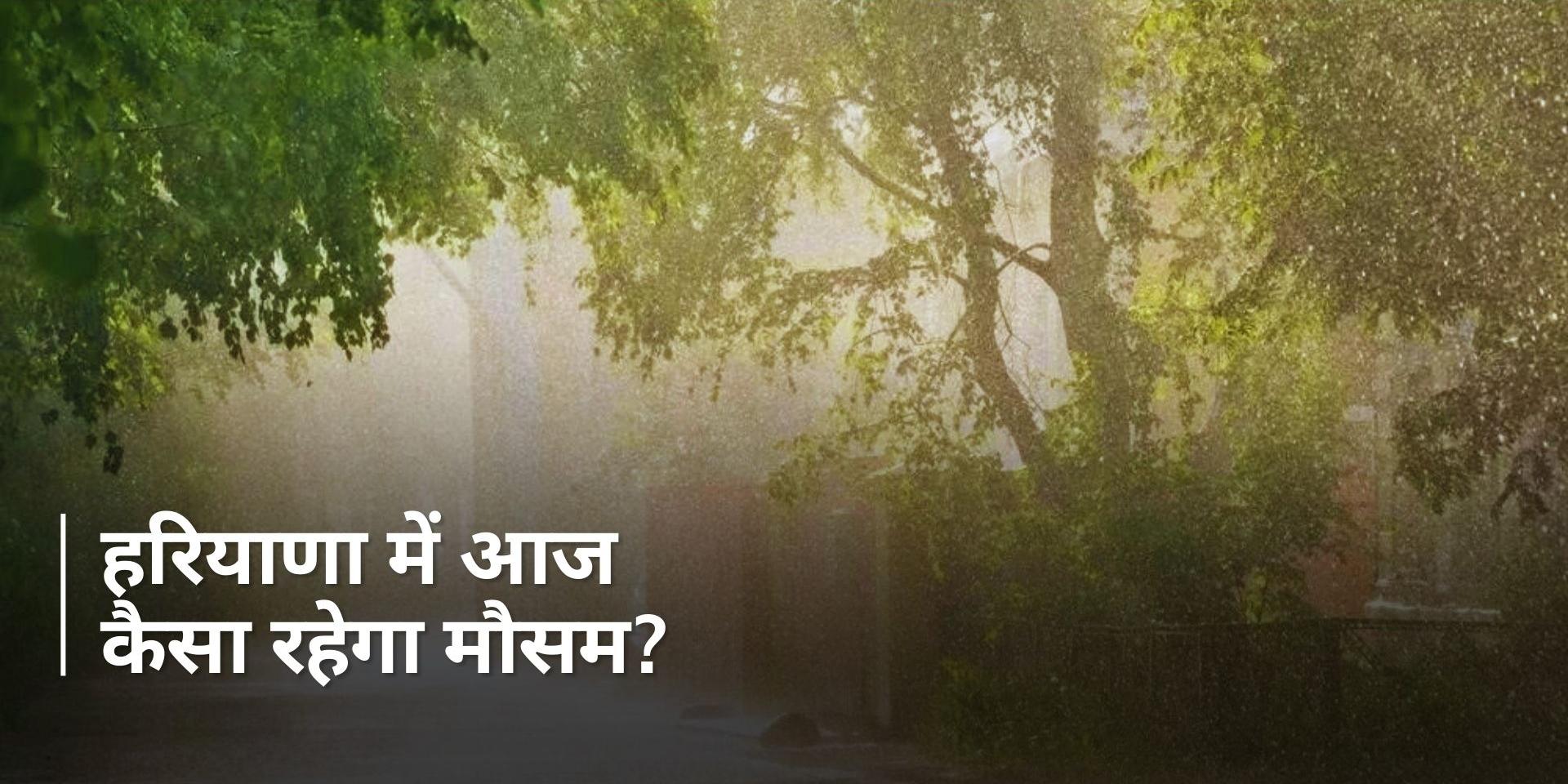 Haryana Weather Update: There will be heavy rain in these cities of ...