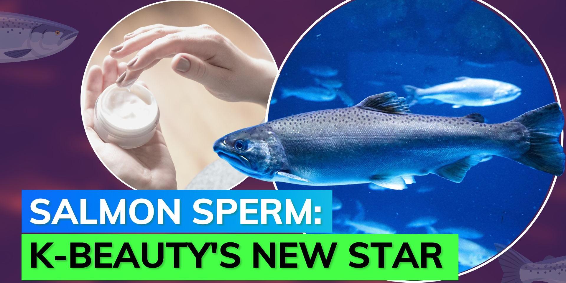 K-beauty: Salmon sperm is K-beauty‘s latest anti-aging ingredient ...