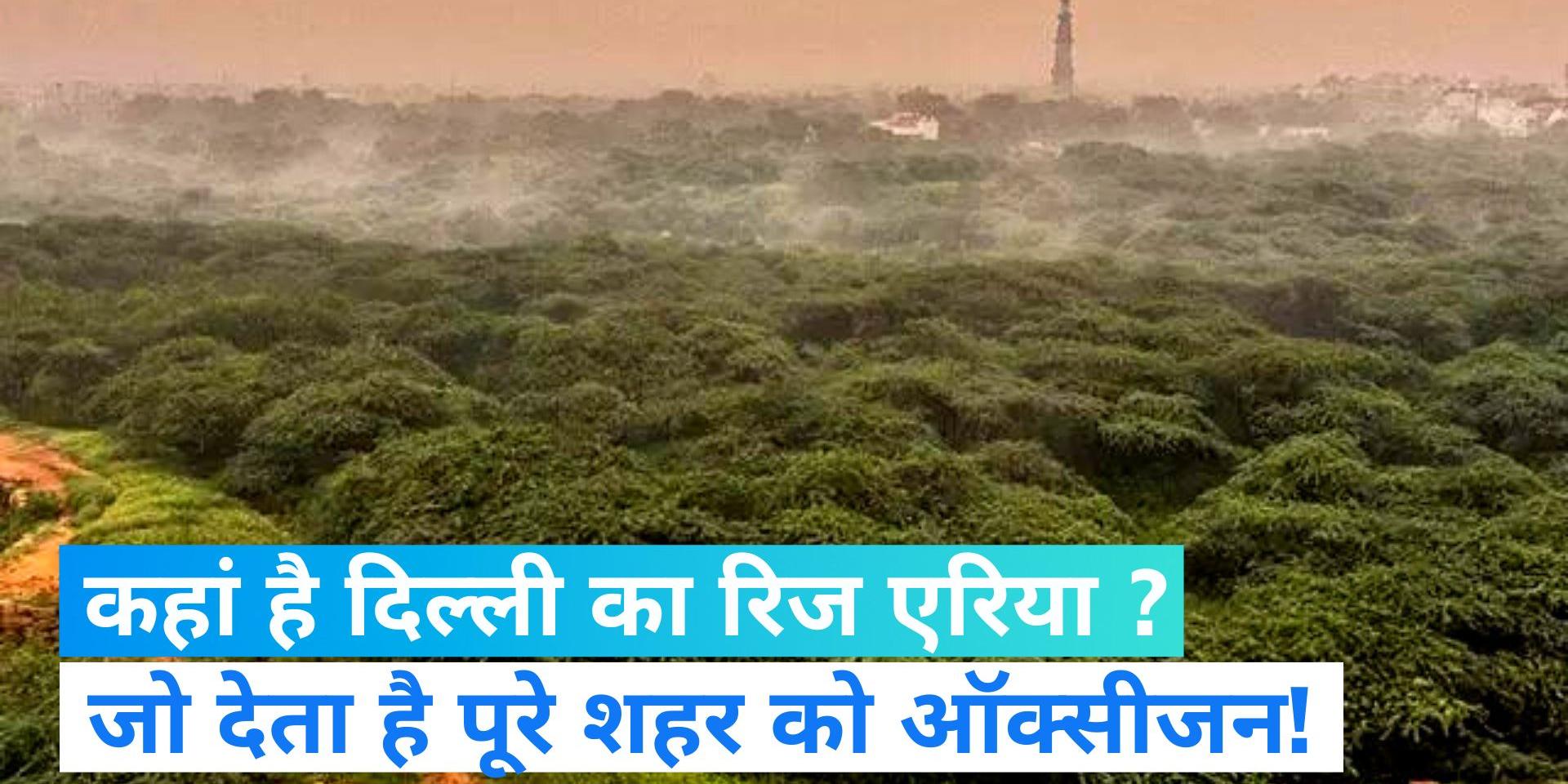 The ridge area is the lungs which gives oxygen to the people of Delhi ...