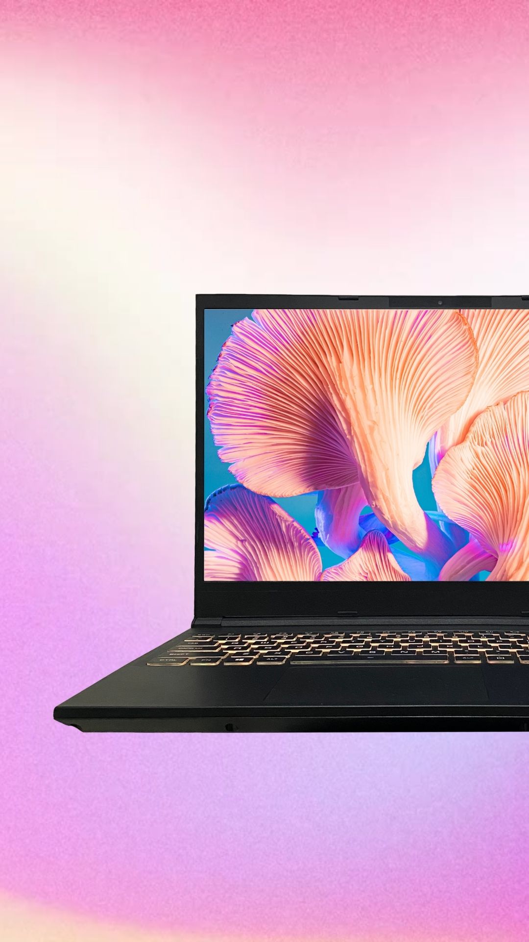 7 best laptops for students under Rs 50000