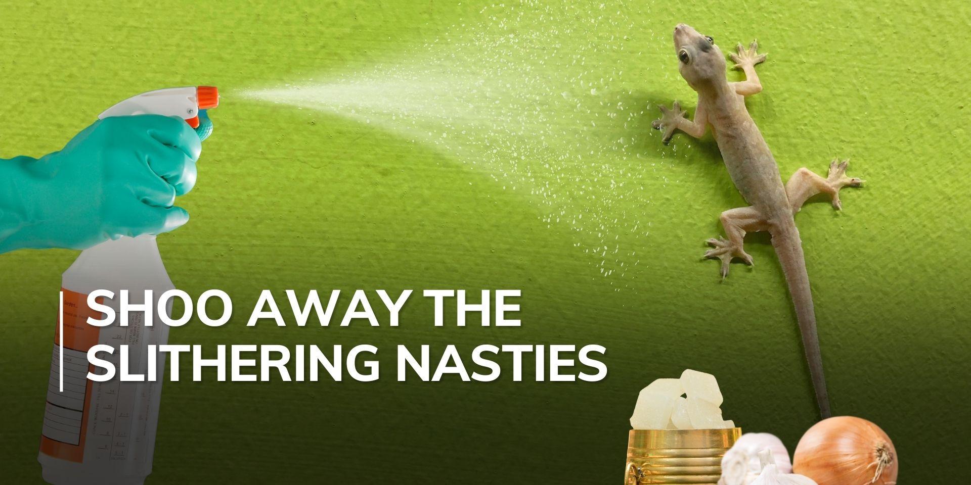 Tired of lizards? Try these simple tricks to keep them out of your ...