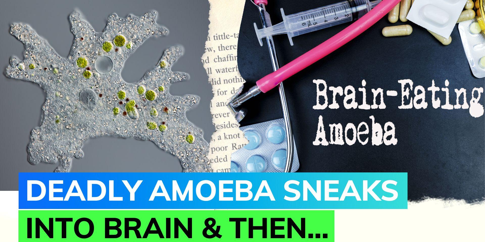 What is the ‘brain-eating amoeba’? US man dies from rare disease | Editorji