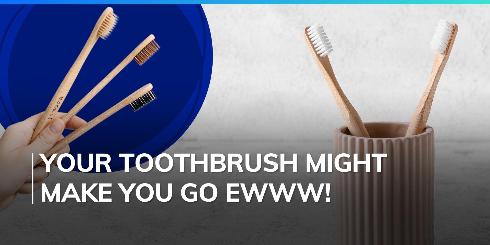 This is the gross reason why experts warn against keeping your ...