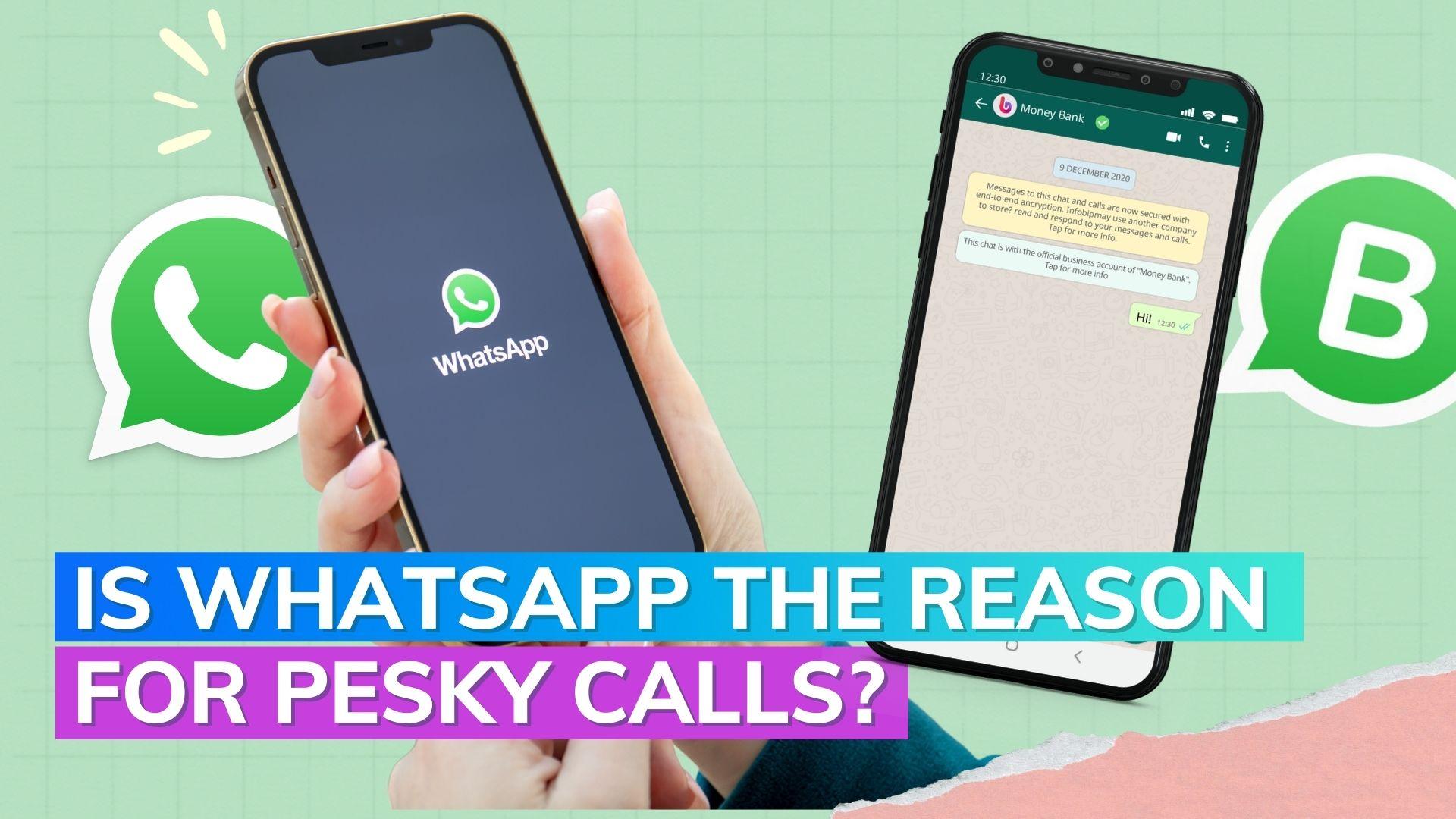76% people see rise in pesky calls after interaction with WhatsApp biz ...
