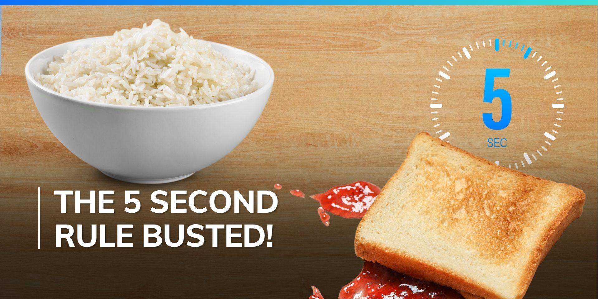 Do you believe in the ‘5-second rule’ and eat food off the floor? Stop ...