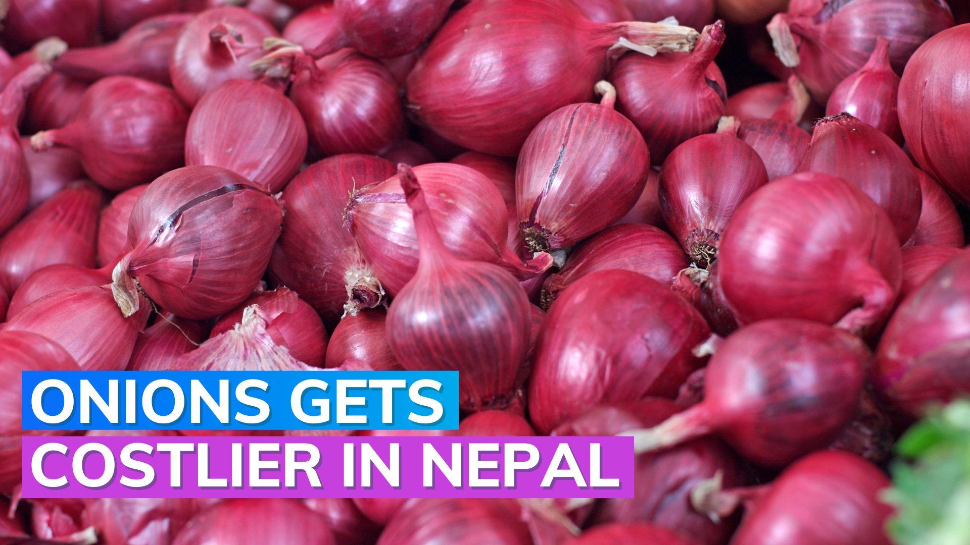 Onion shortage: Nepal grapples with shortfall as India Imposes 40% tax | Editorji