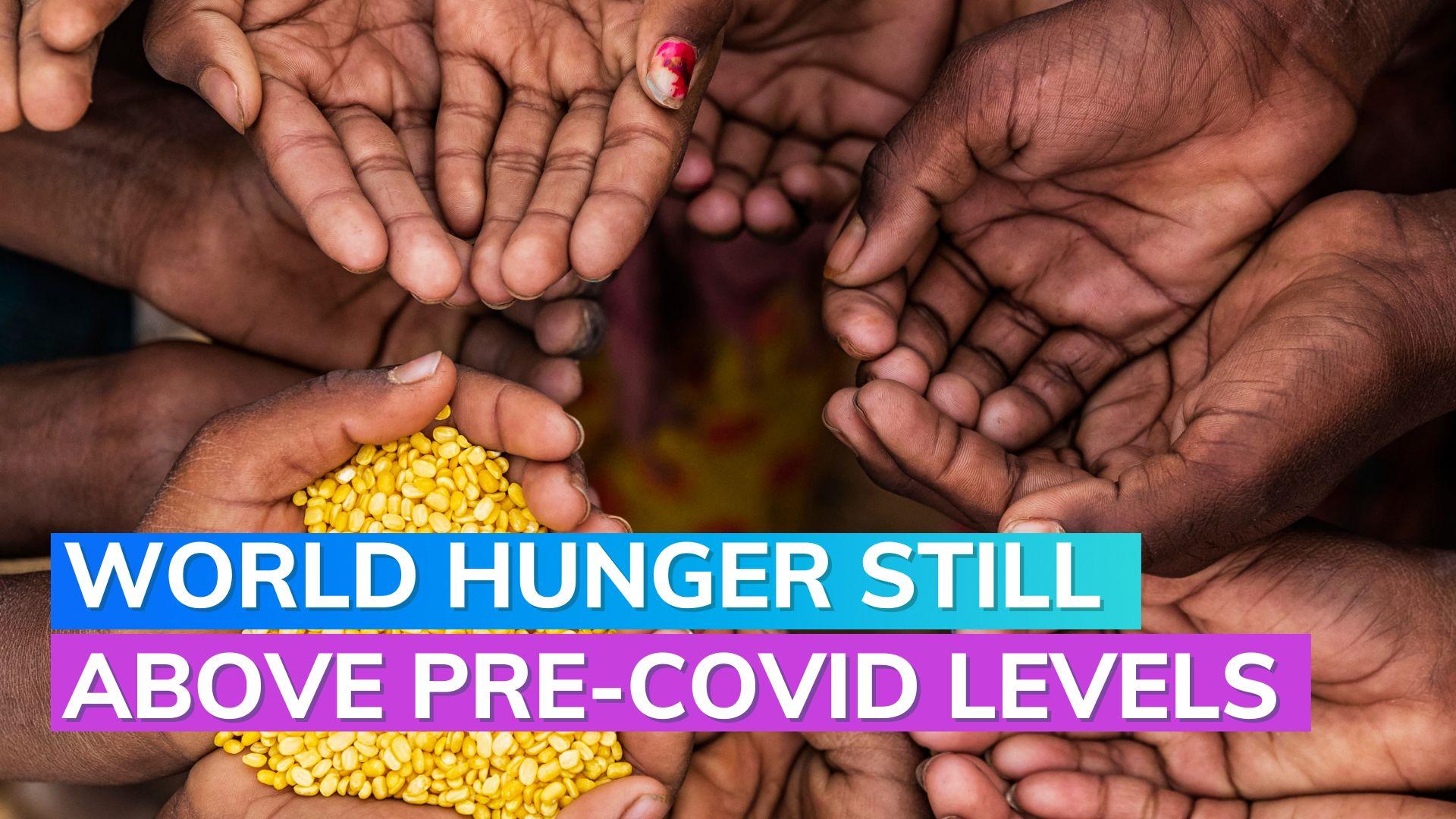 World hunger stops rising but remains elevated: UN | Editorji