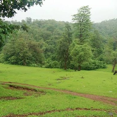 Explore Purna National Park for a wildlife weekend getaway | Editorji