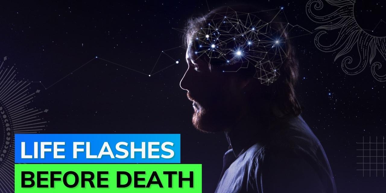 Study reveals what happens seconds before we die | Editorji