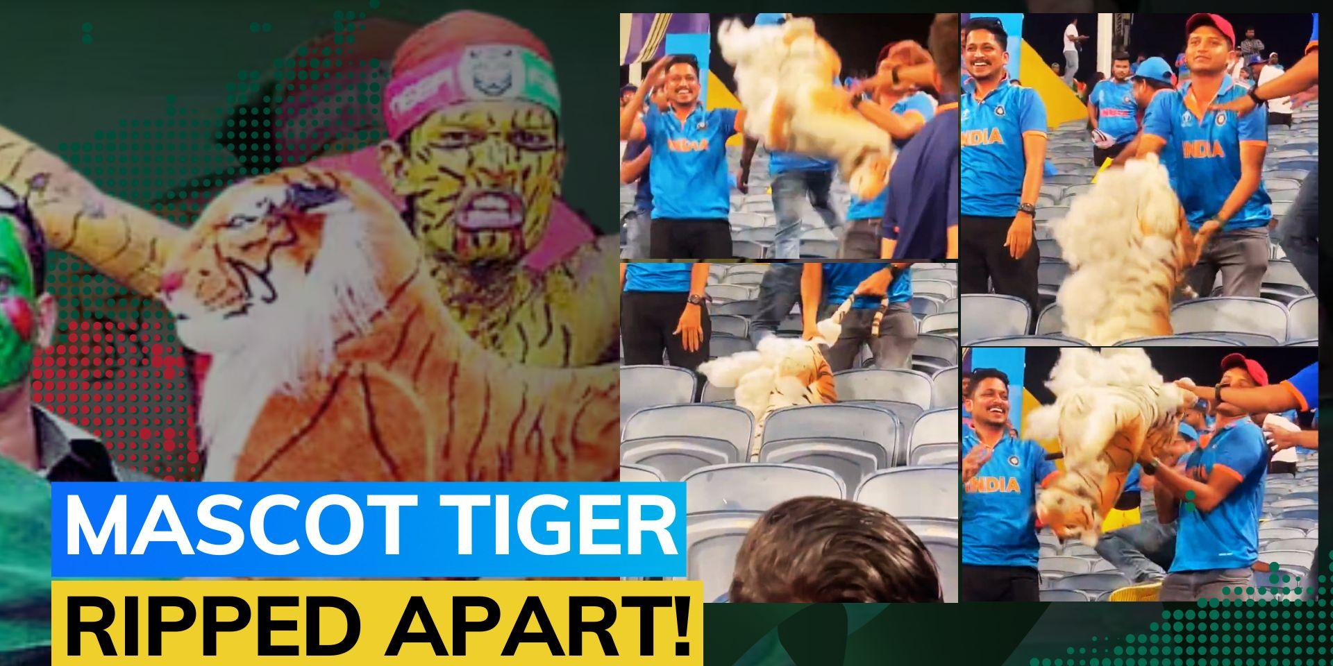 Watch: Indian fans bully Bangladesh‘s superfan ‘Tiger Shoaib’ in Pune ...