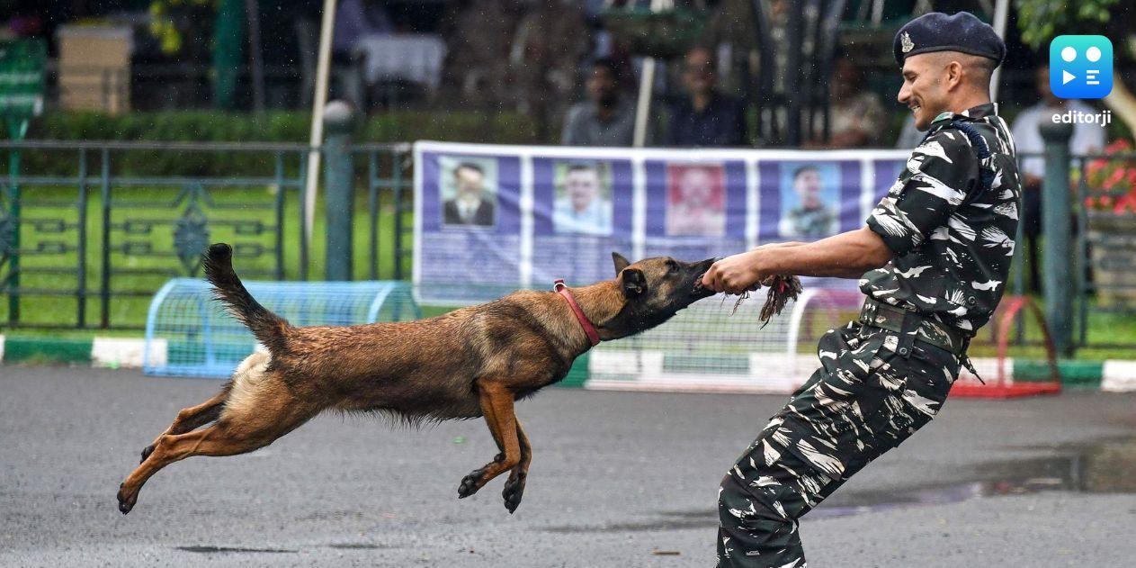 CRPF introduces public adoption for retired service dogs | Editorji
