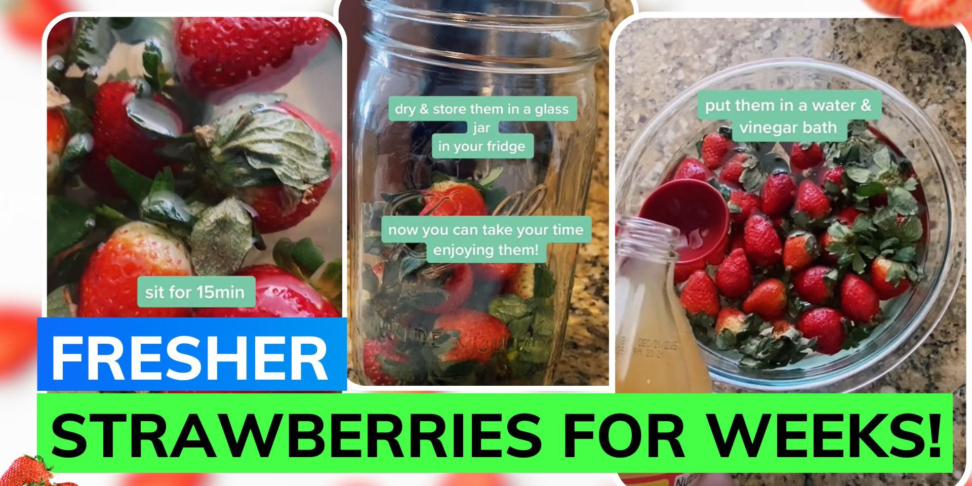 Extend the shelf life of strawberries with this genius hack! | Editorji