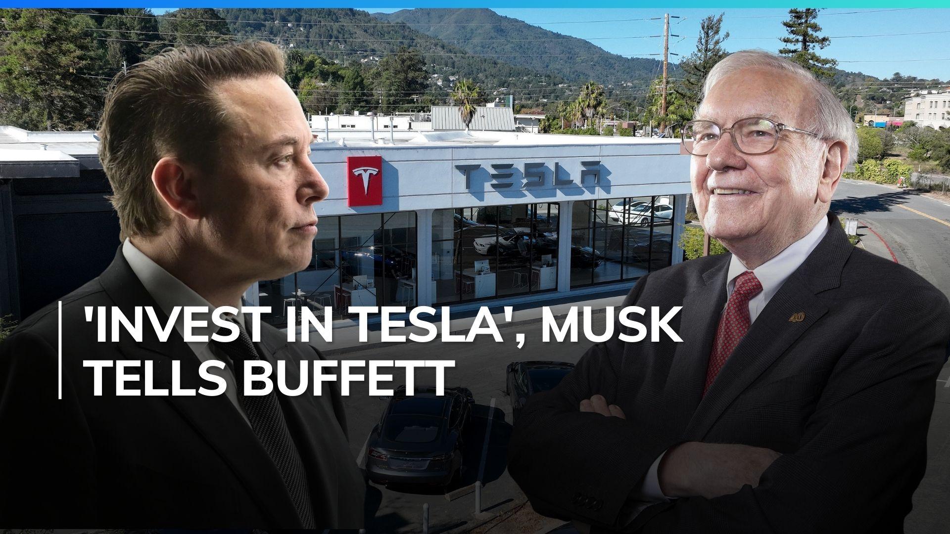As Tesla sales drag down, Elon Musk asks billionaire Warren Buffett to ...