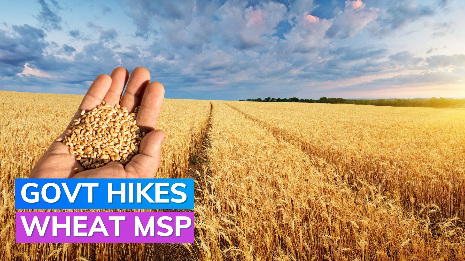 Government hikes Wheat MSP by Rs 150 to Rs 2,275 per quintal for 2024 ...