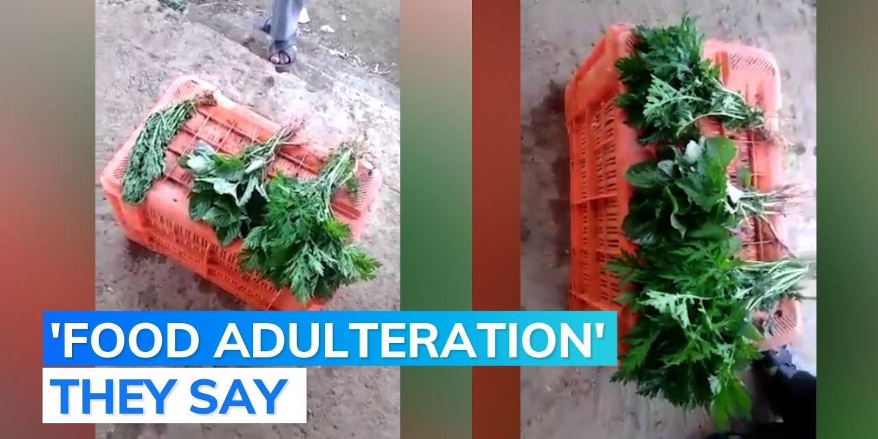 Watch: stale veggies appear freshly plucked after being dipped in ...