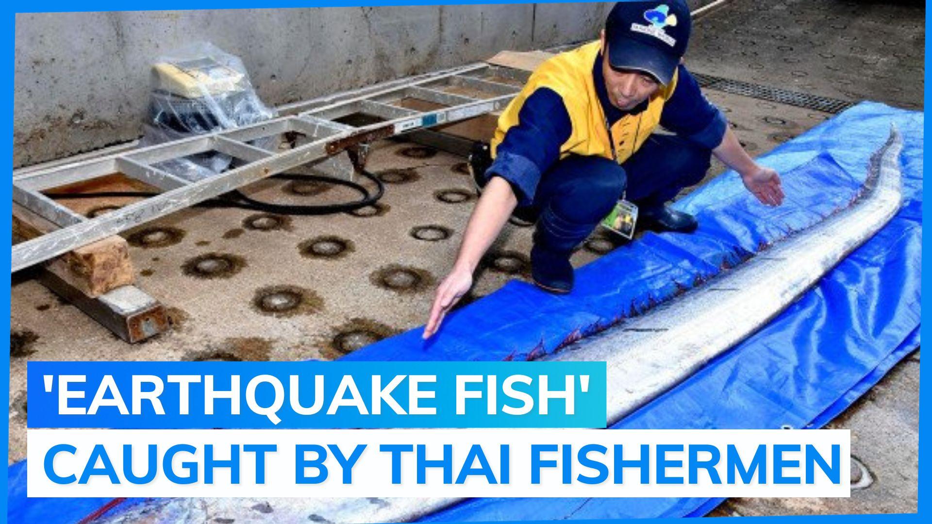 Fear and panic in Thailand after locals spot rare ‘doomsday’ fish days ...