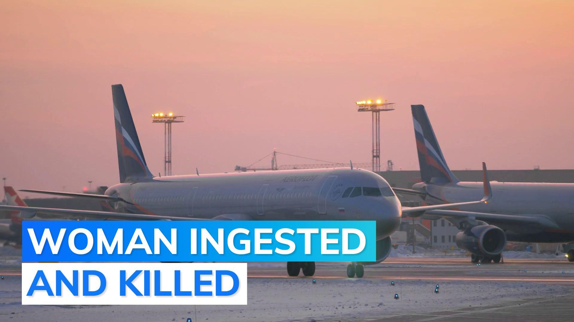 USA: Texas airport worker gets sucked into jet engine, dies | Editorji