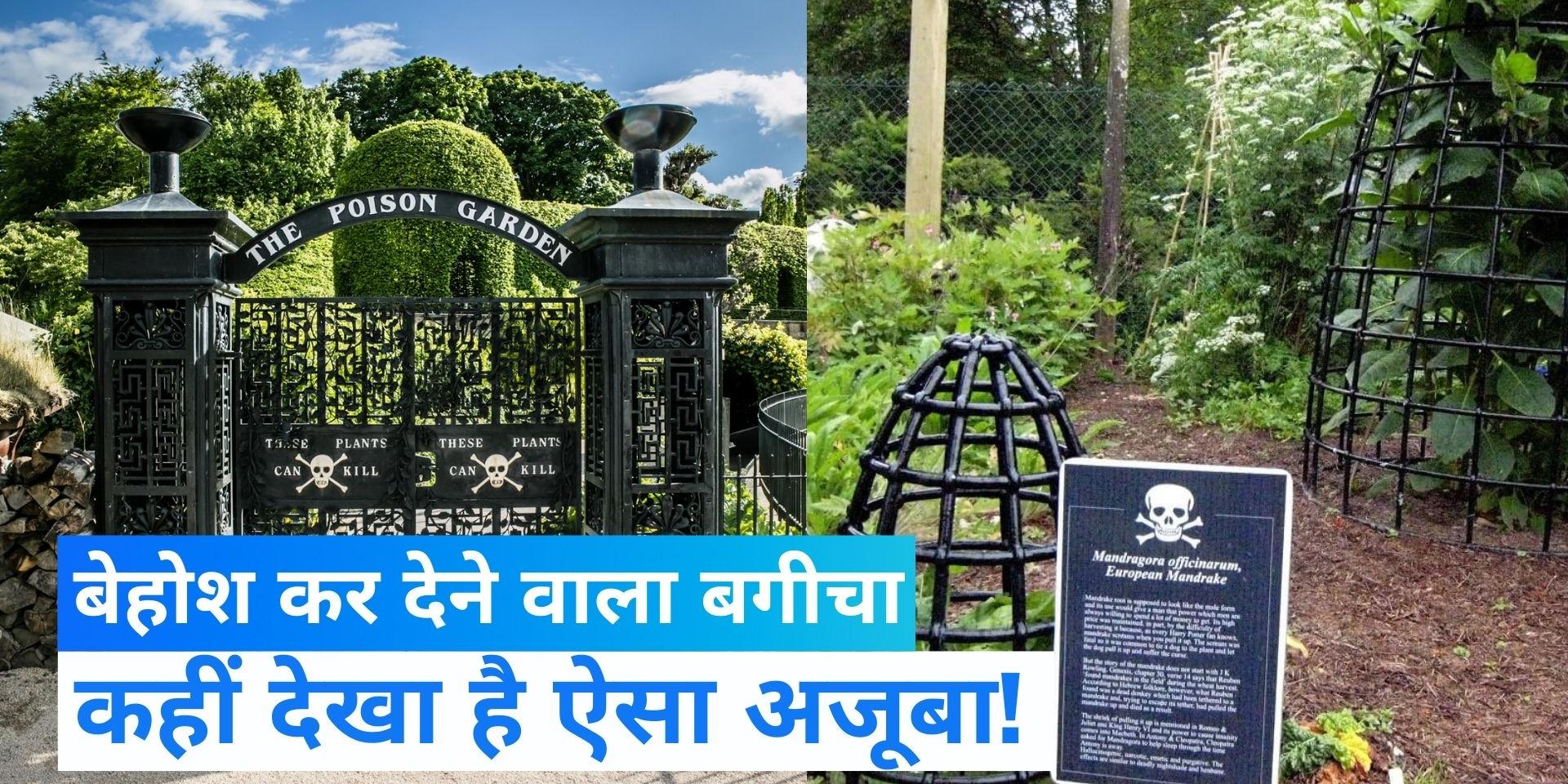the poison garden: know all about World‘s Deadliest Garden where ...