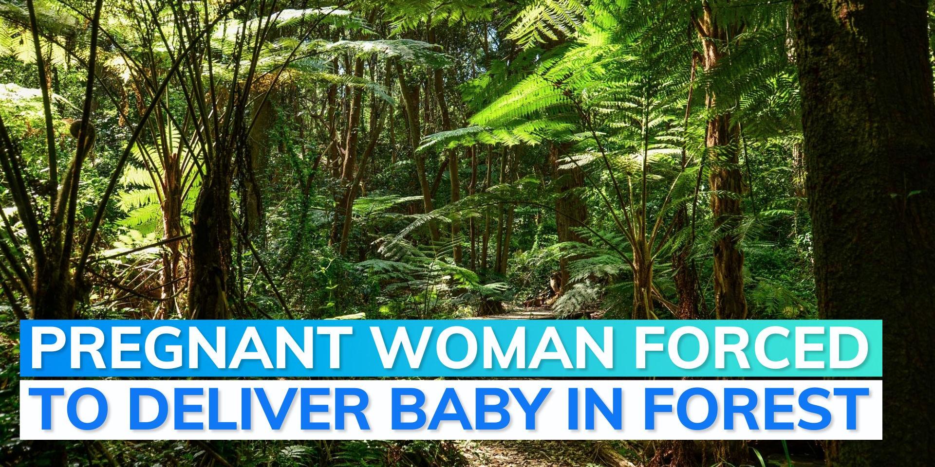 Maharashtra: Pregnant tribal woman carried in makeshift stretcher ...