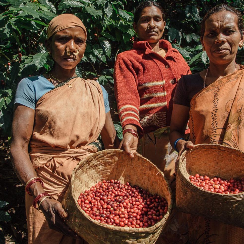 Bold & brewed: Indian brands offering local, artisanal coffees | Editorji