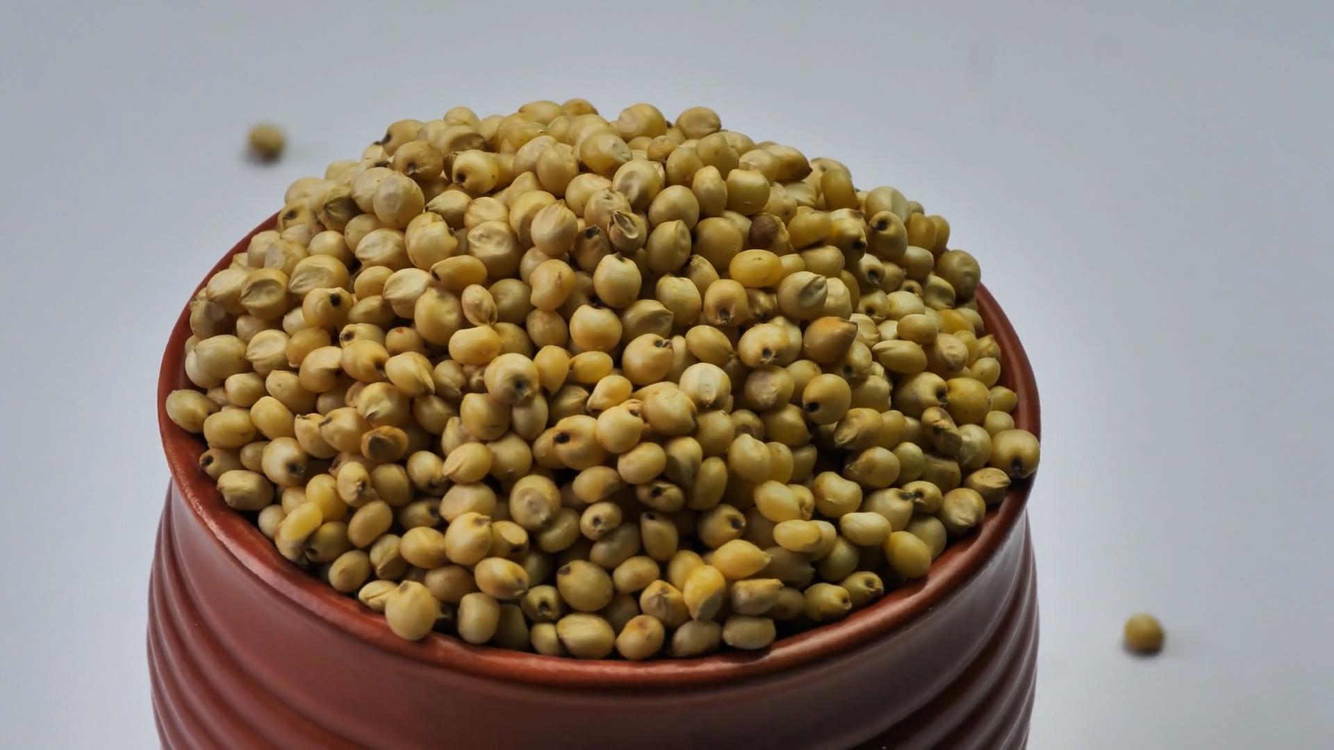 Punjab farmer facilitated by APEDA to export millets to Australia ...