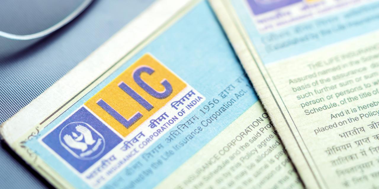 LIC IPO: When size does matter, a few numbers that will baffle you ...