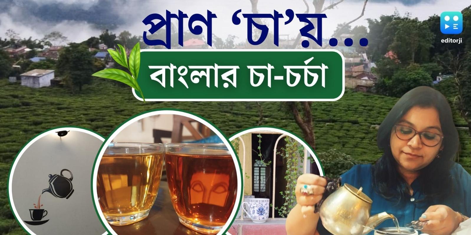 tea heritage of bengal, a history of darjeeling tea - Tea Heritage of ...