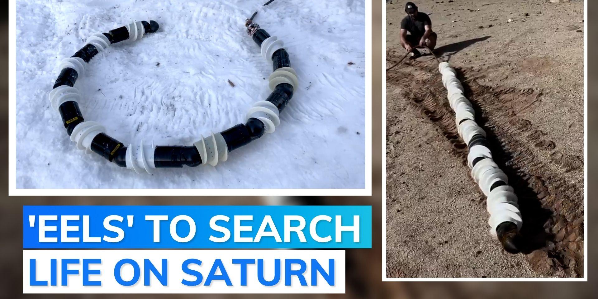 NASA experiments on 4 meters long snake bots to study ocean surface of ...