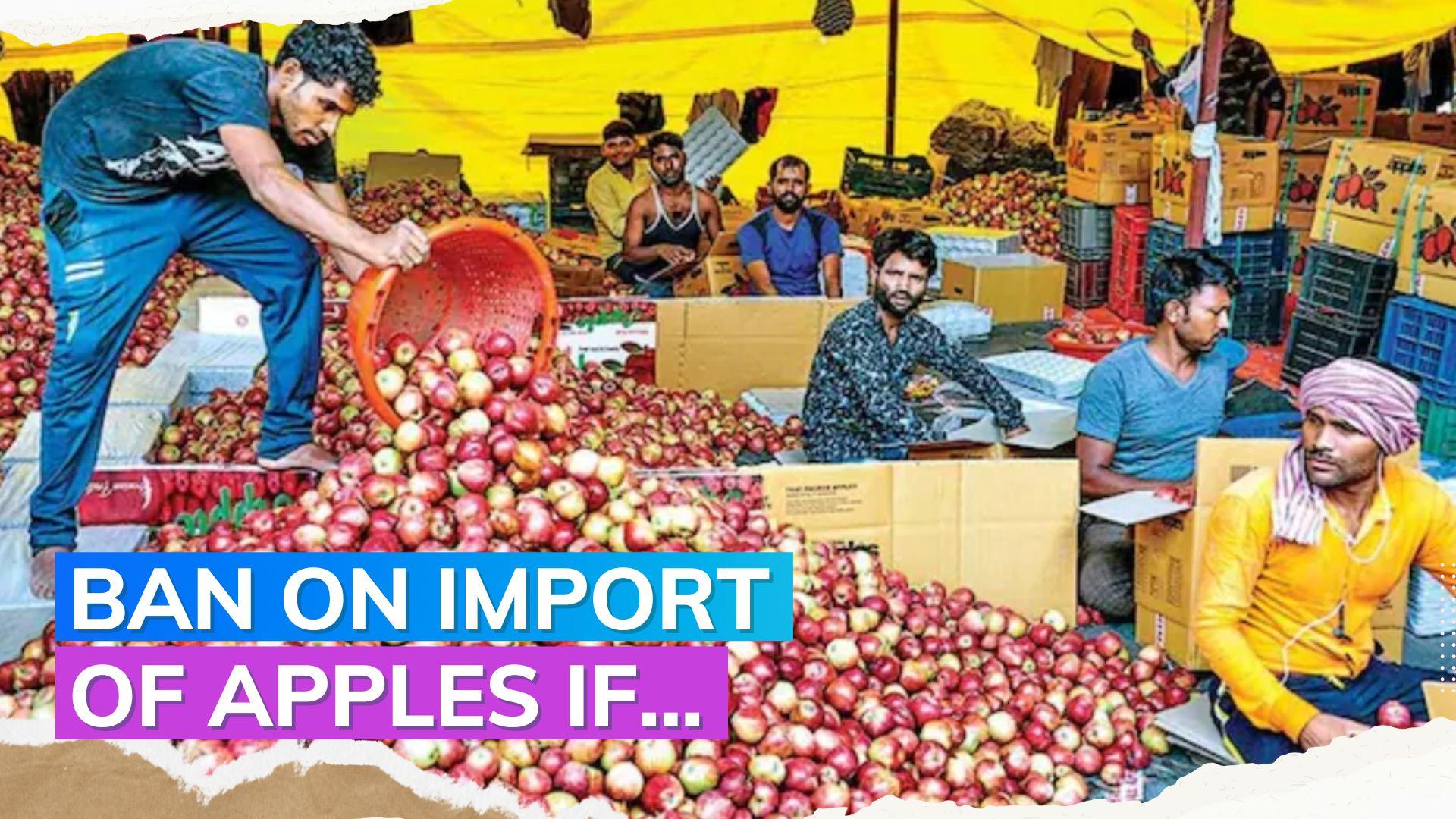 Govt bans apple imports if its price is less than ₹50 per Kg | Editorji