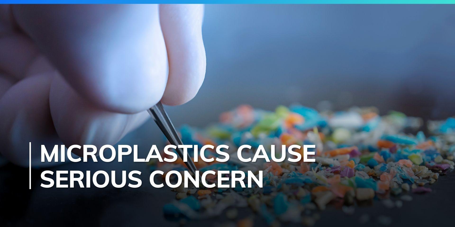 Research Finds Microplastics In Human Testicles Resulting In Decline In