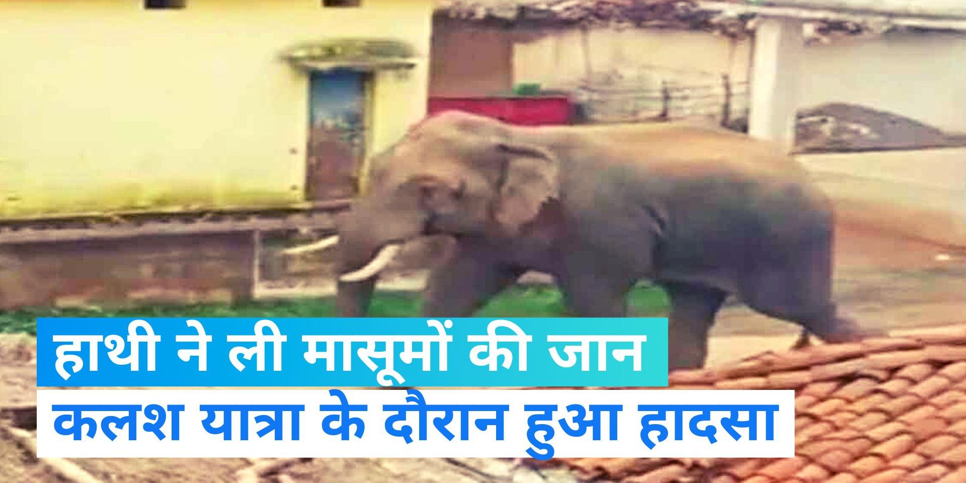 UP News: Elephant got scattered during Kalash Yatra in Gorakhpur ...