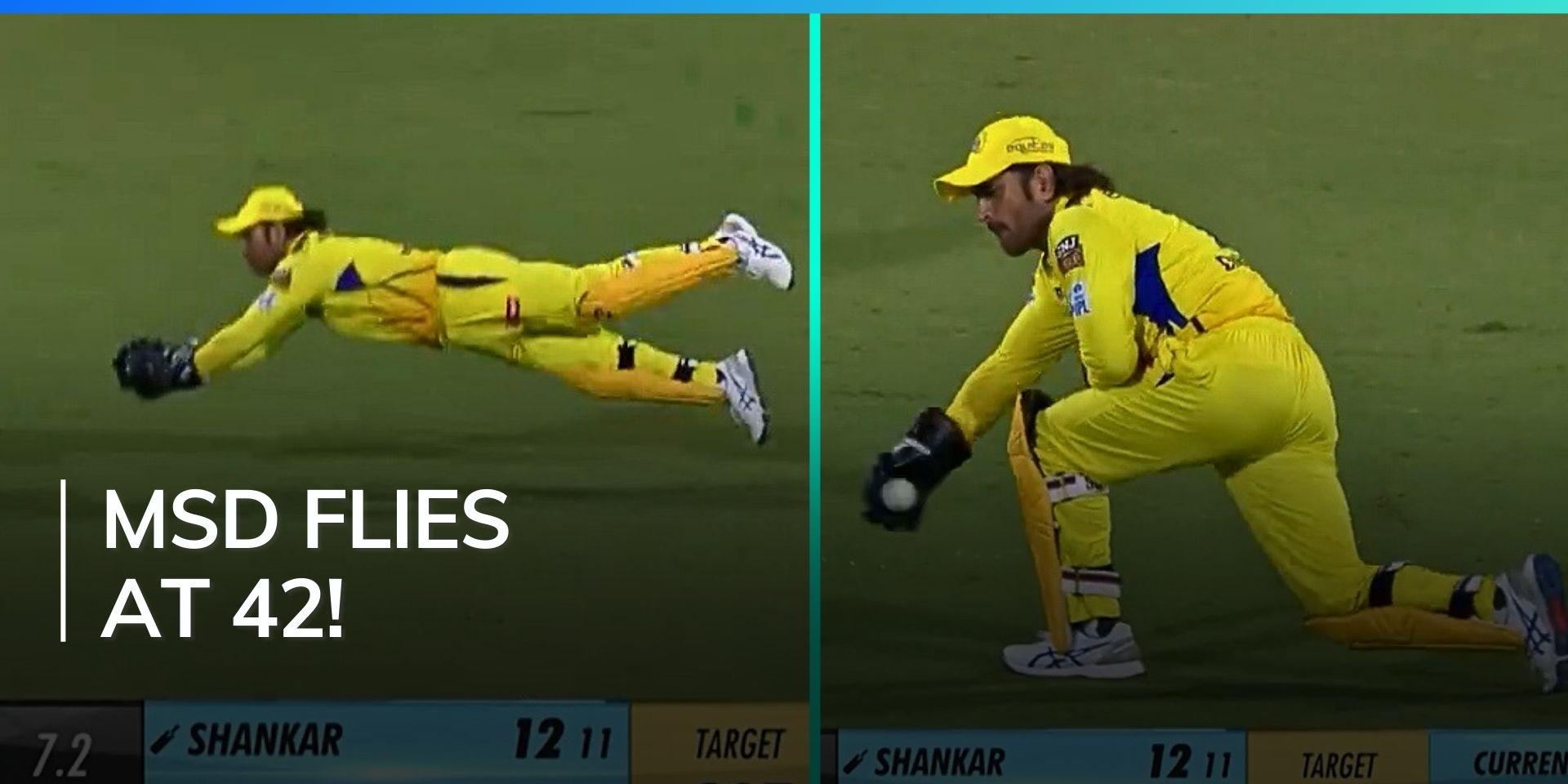 Watch! MS Dhoni takes a flying catch to dismiss Vijay Shankar in IPL ...