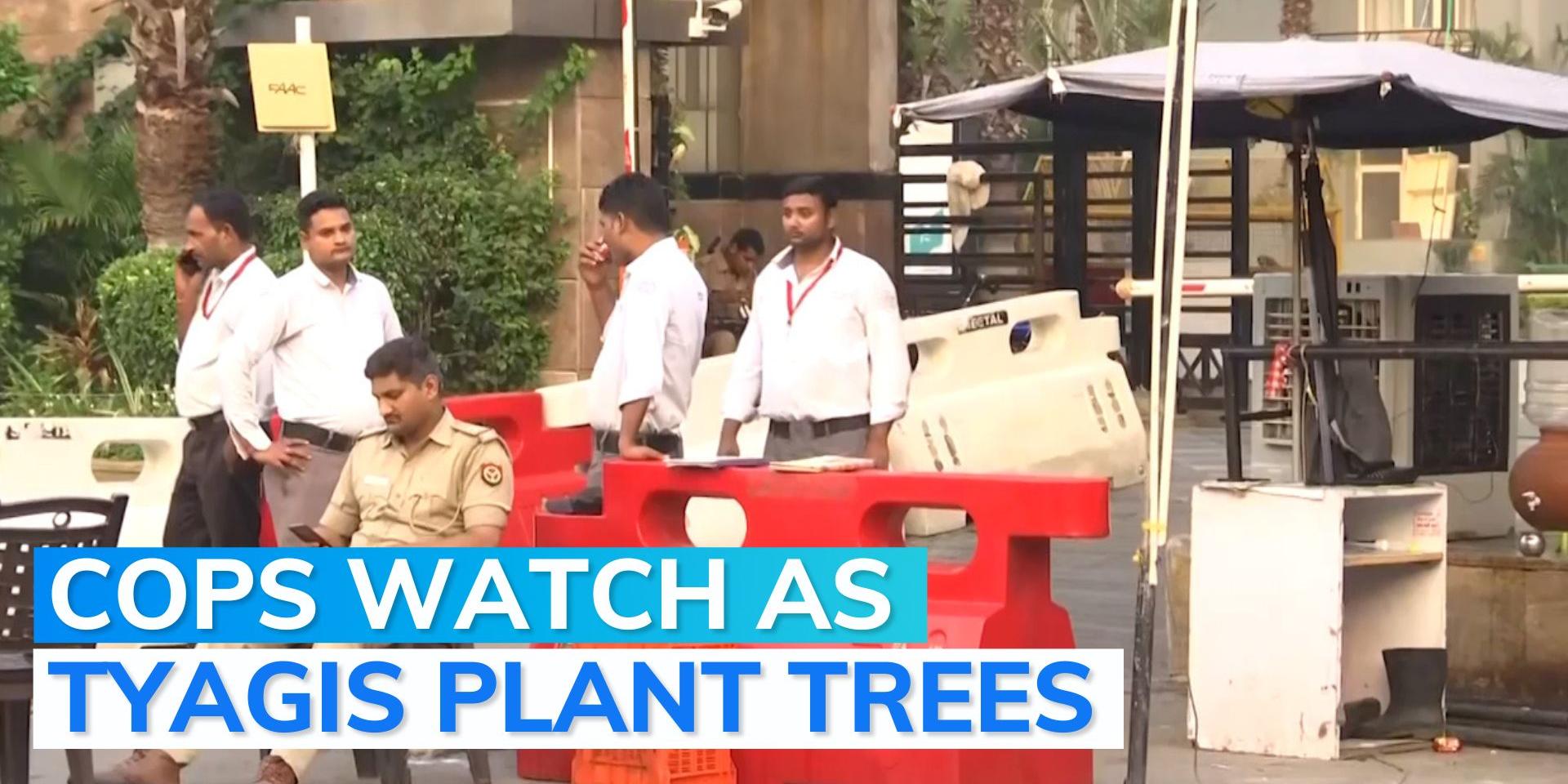 Shrikant Tyagi case: Palm trees again planted by his family in Noida ...