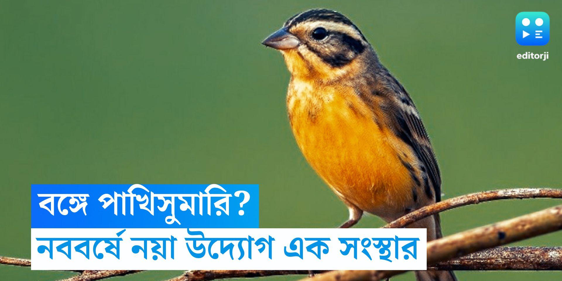 Bird Census will start in Bengal from 15th April 2023 - WB Bird Census ...