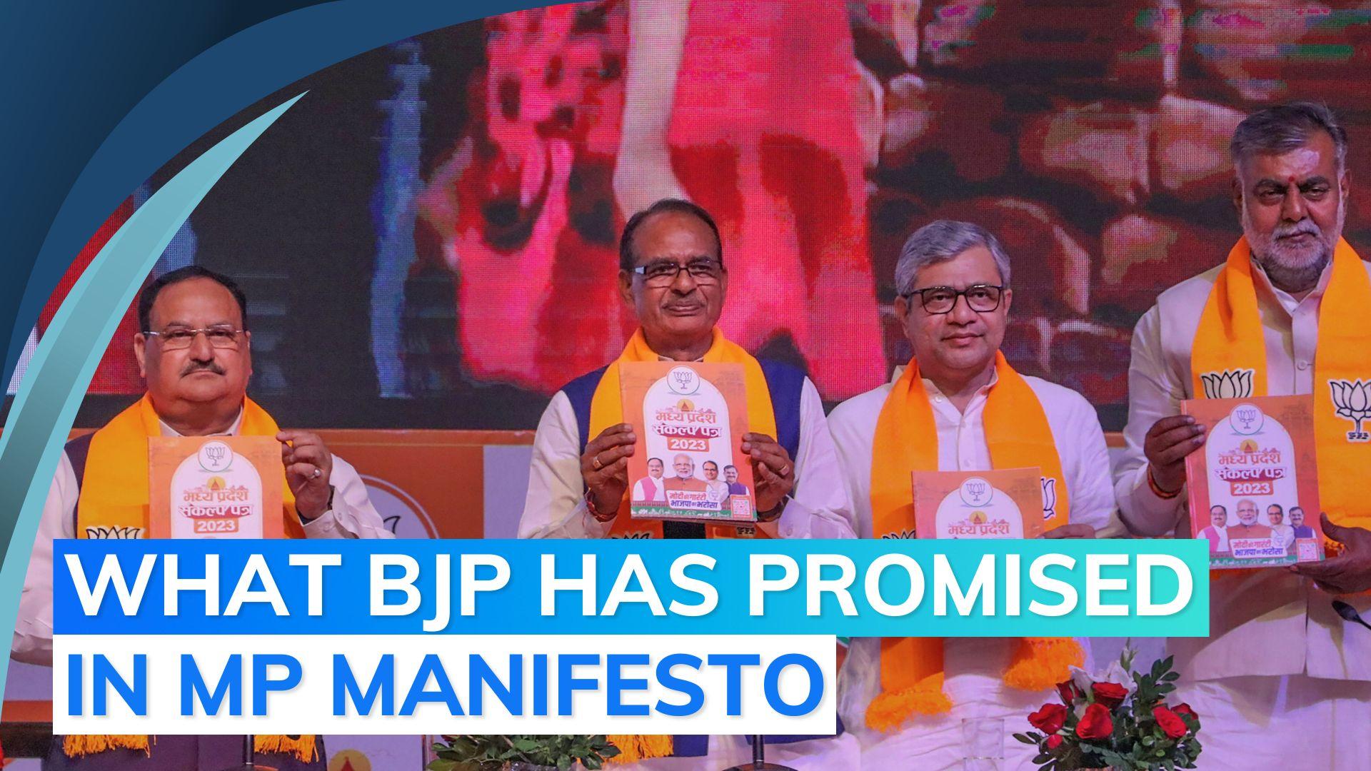 MP elections: BP promises free education, gas cylinder subsidy and ...