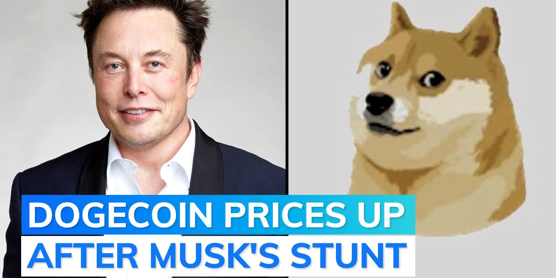 Elon Musk changes Twitter bird logo to ‘doge’ meme | Editorji