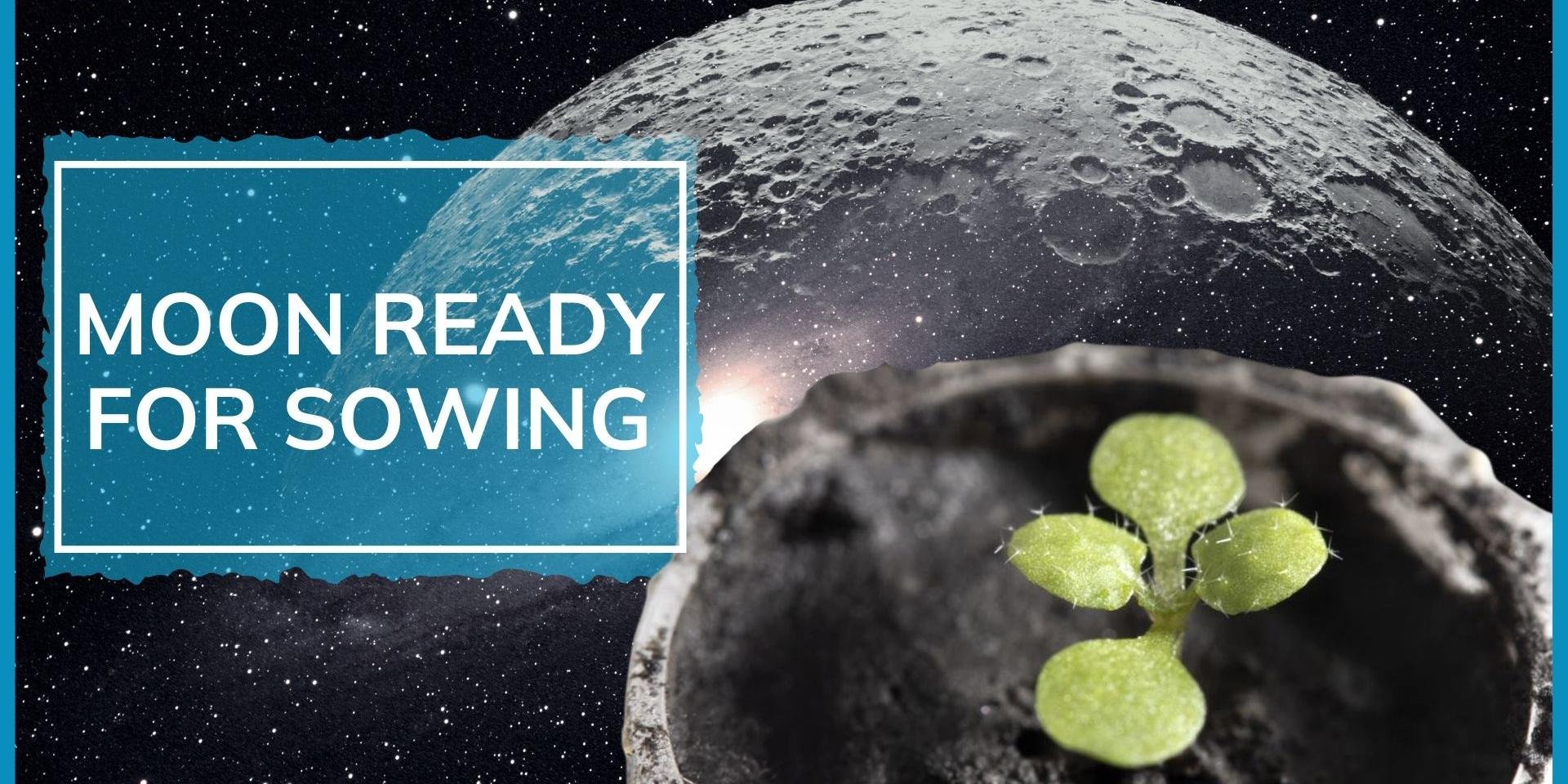 Scientists grow plants in soil from Moon for first time: what does it ...