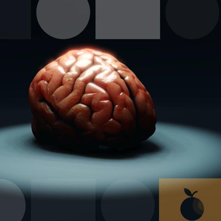 Your amazing brain: keeping it healthy | Editorji