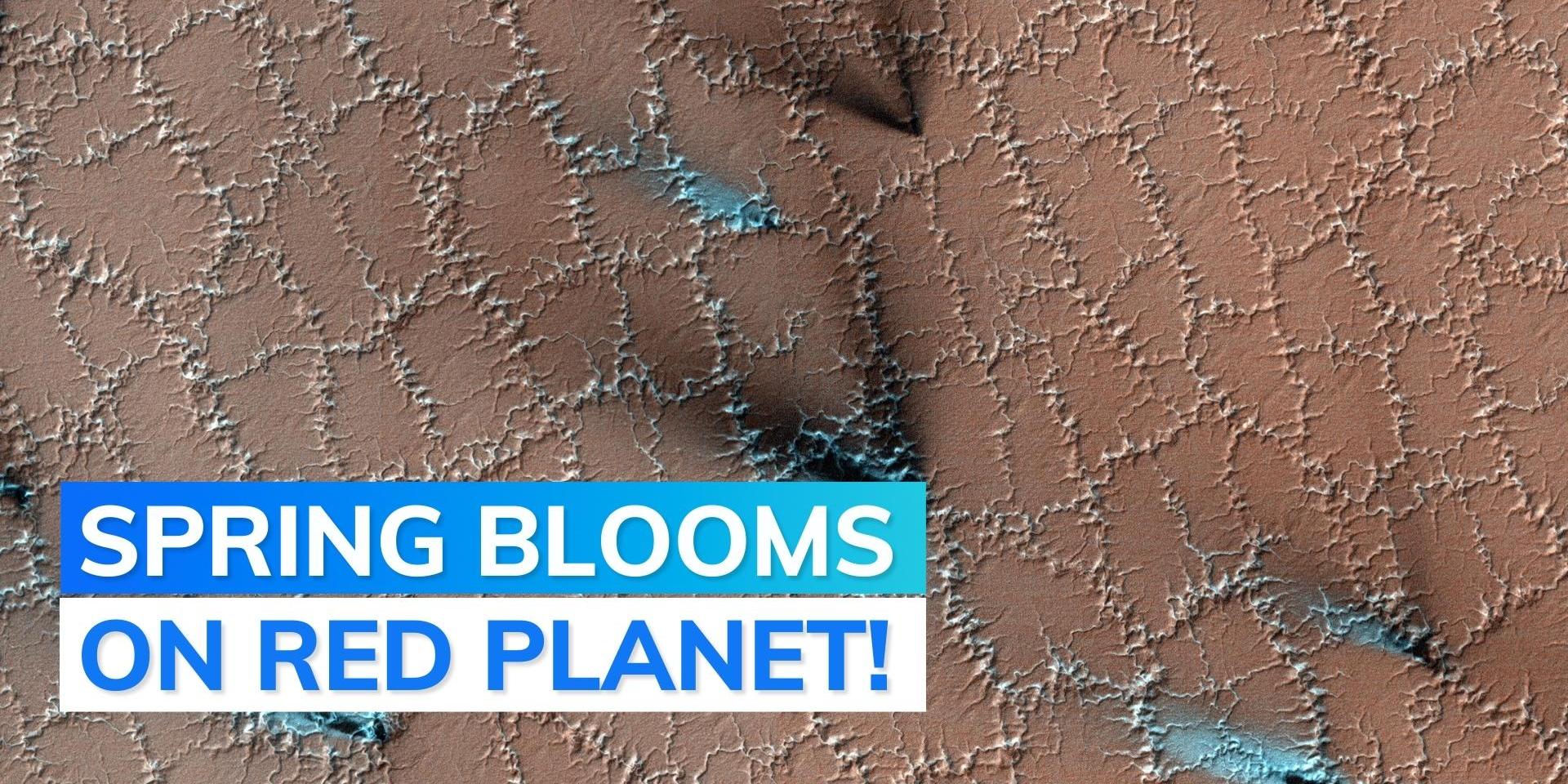 Springtime bloom on the Red Planet is slightly different than Earth ...
