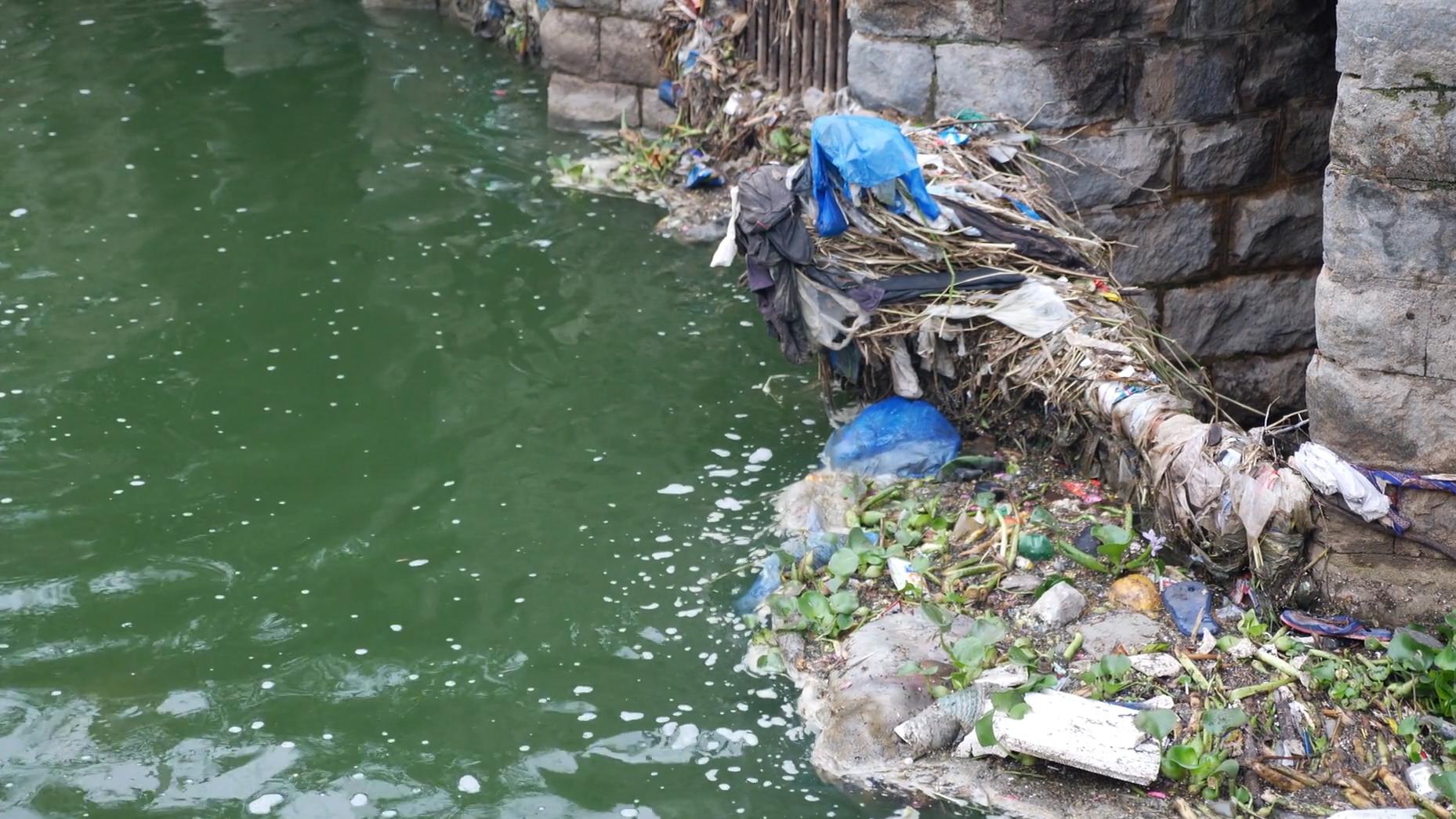 Almost half of worlds rivers damaged by humanity, study says | Editorji