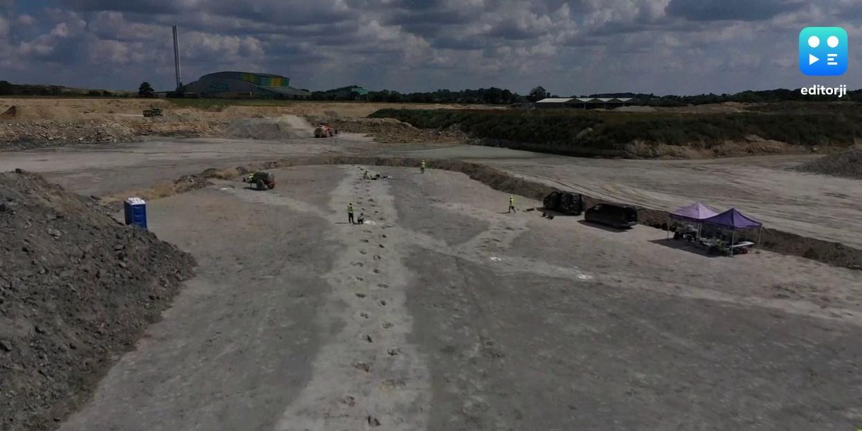 Hundreds of different dinosaur footprints discovered in UK‘s Oxfordshire | Editorji