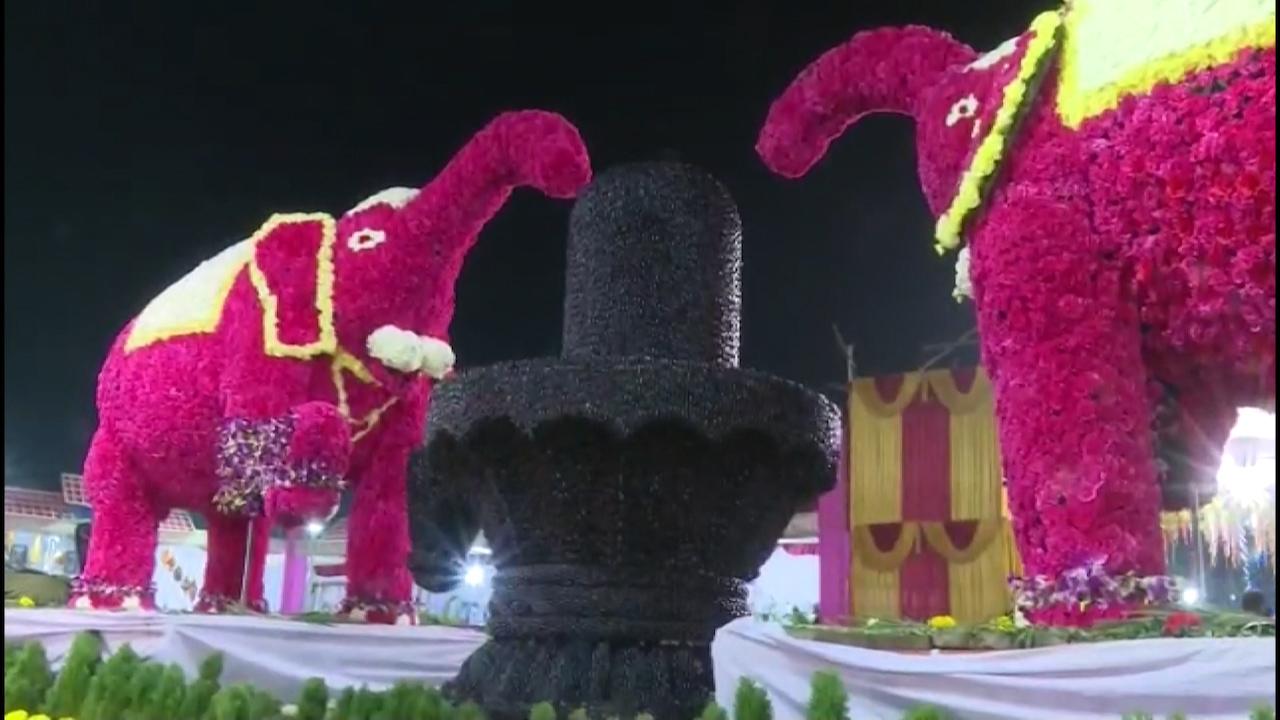 Flower show inaugurated in Puducherry | Editorji