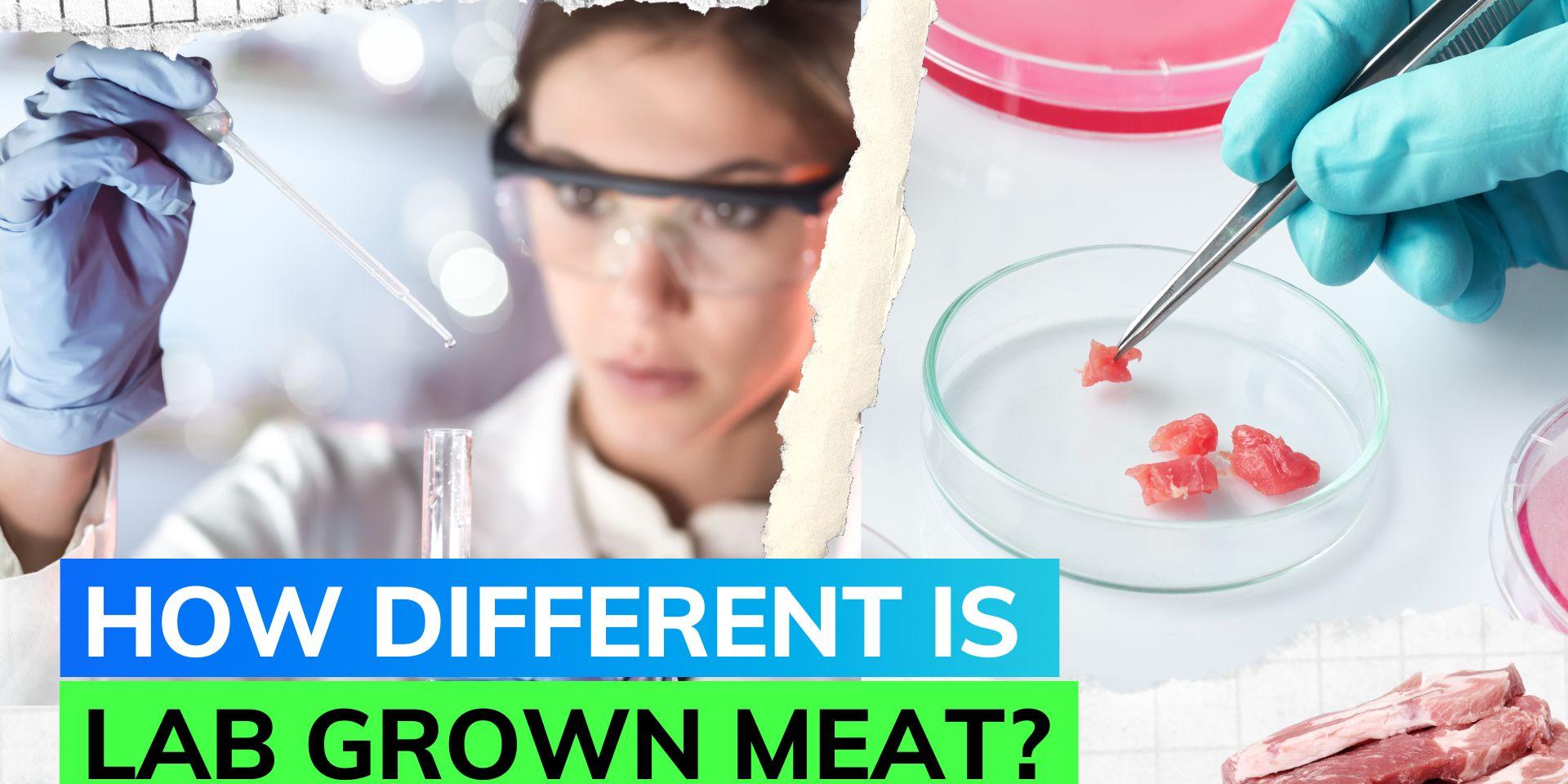 Artificial meat approved for sale in US; know the difference between ...