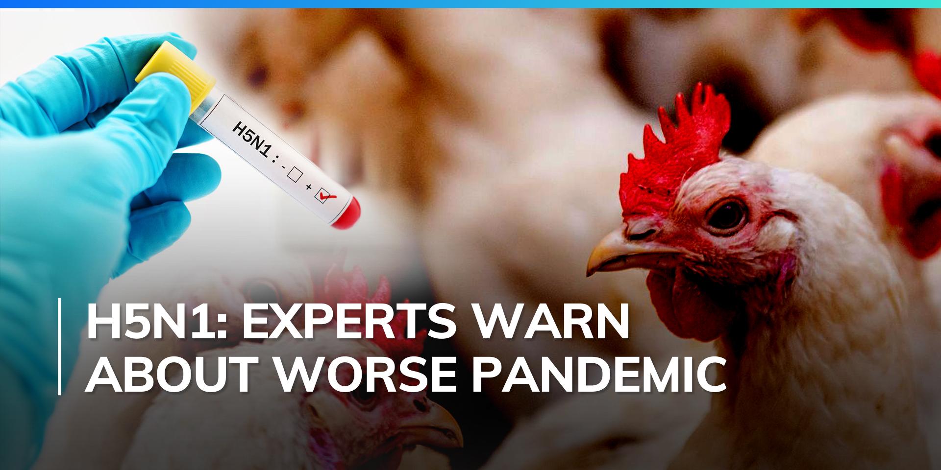 H5N1 flu 100 times more dangerous than Covid-19, warns virus researchers. Here is what expert ...