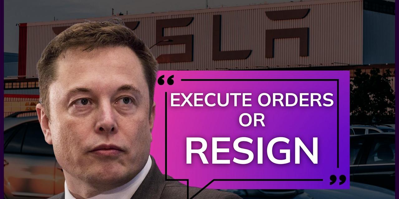Viral! Musk‘s letter to employees, 3 options laid out | Editorji